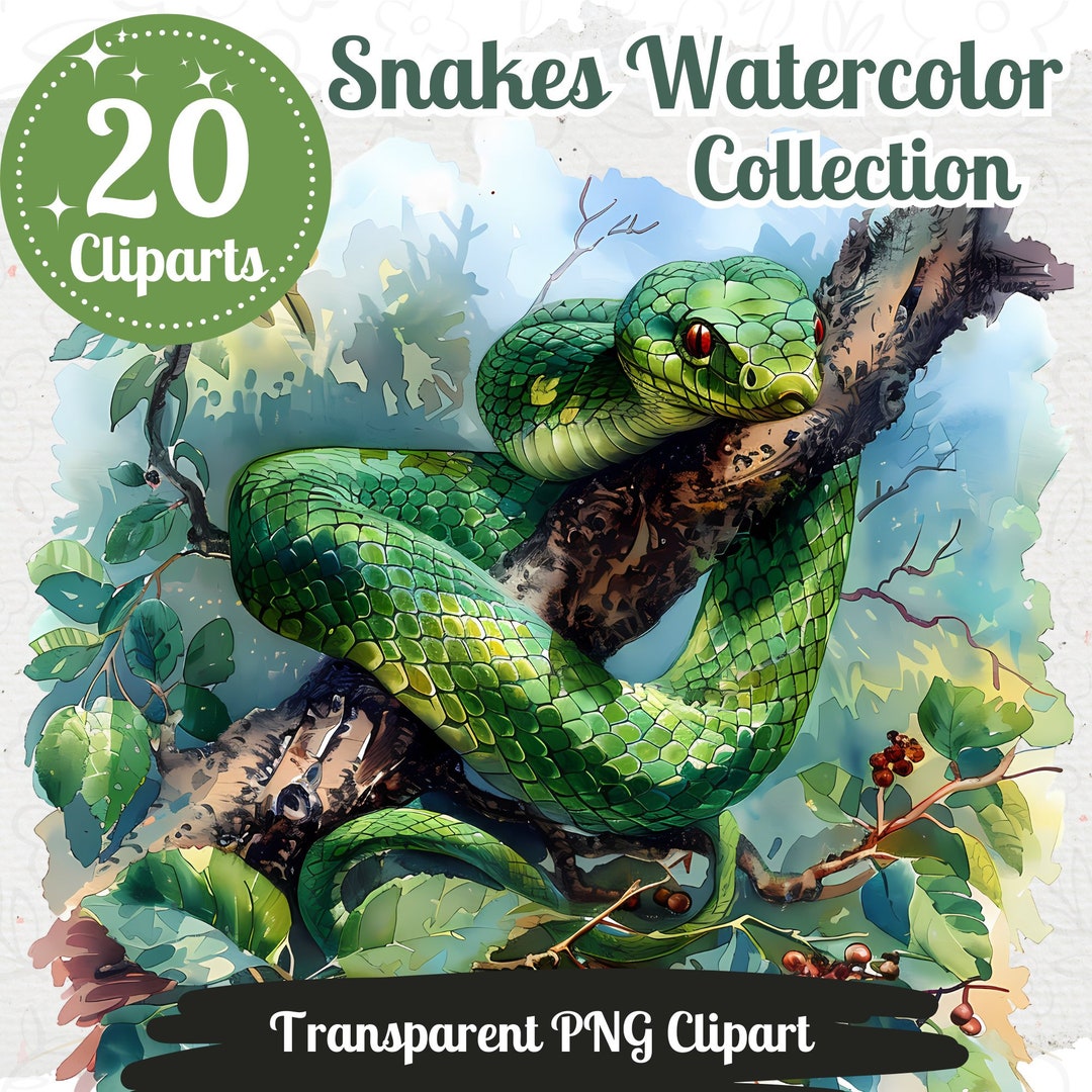 Snakes Watercolor Cliparts 20 PNG Bundle Wildlife Snakes in Watercolor ...