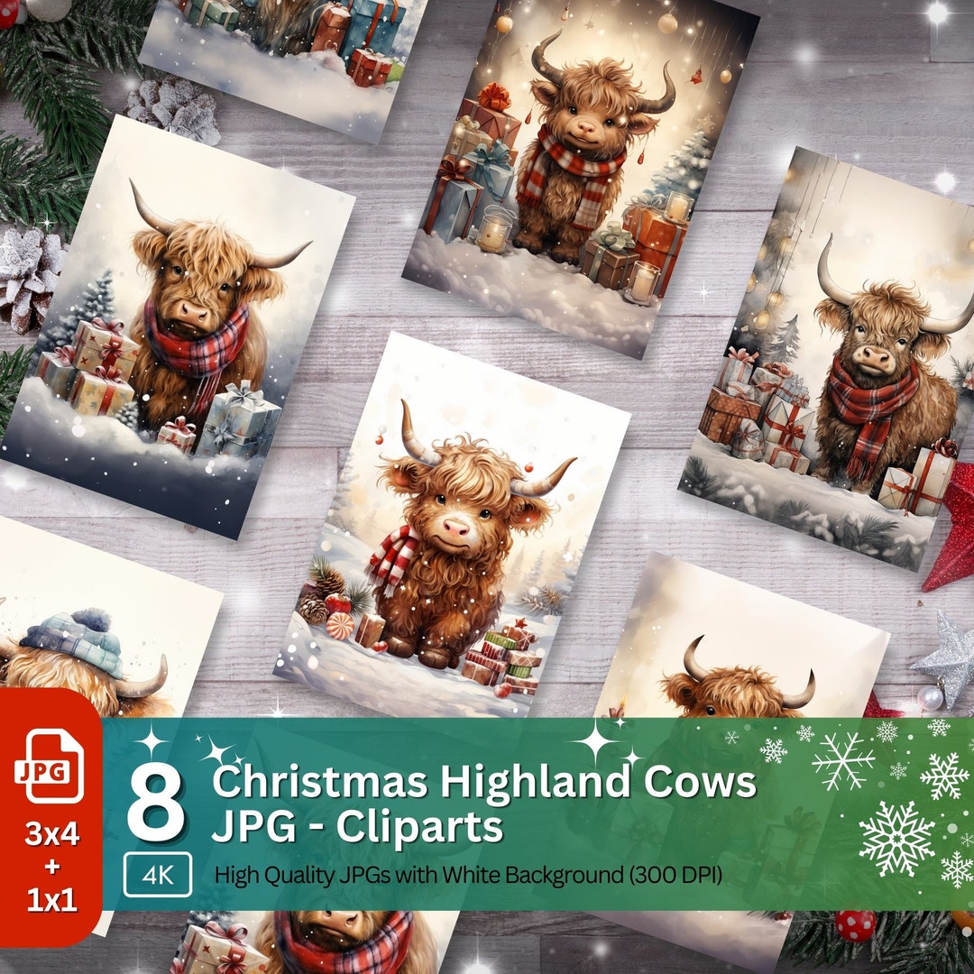 Cute Highland Cow With Gifts Clipart 8 JPG Cute Christmas Card Graphic ...