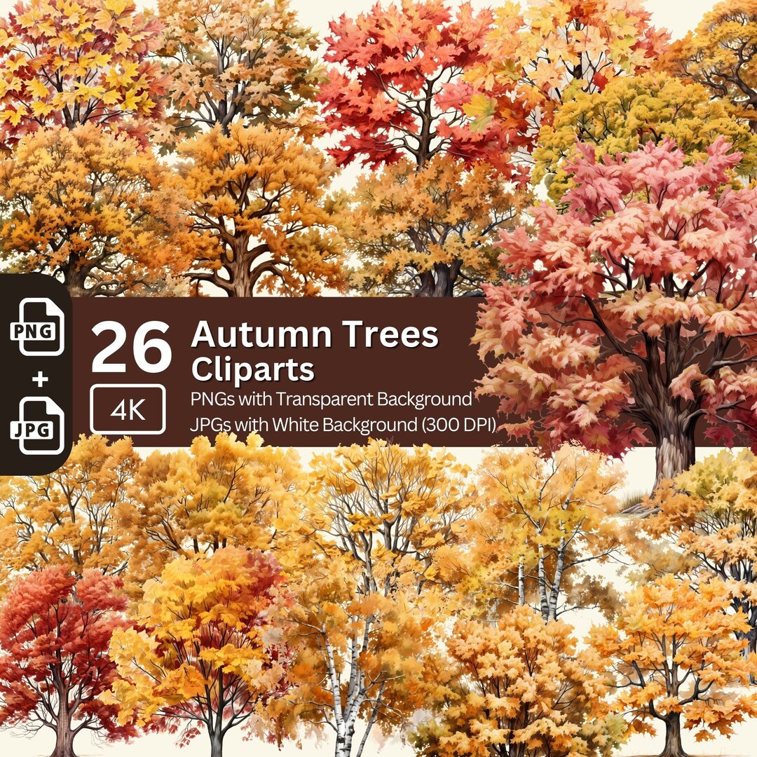 Autumn Trees Clipart 26 PNG Bundle Fall Images Seasonal Clipart Card ...