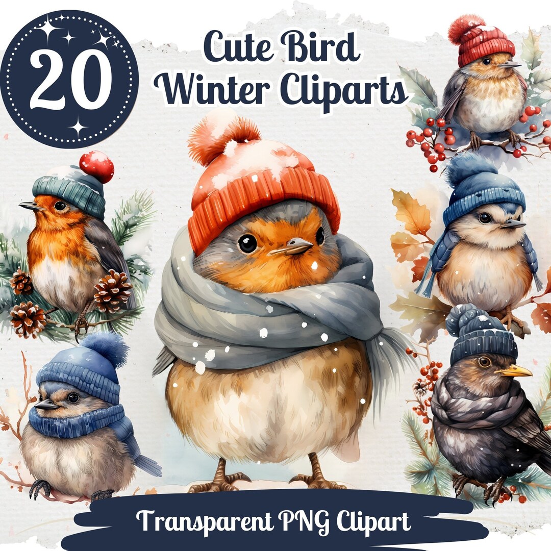Winter Birds With Bobble Hat Clipart 20 PNG Bundle Seasonal Watercolor ...