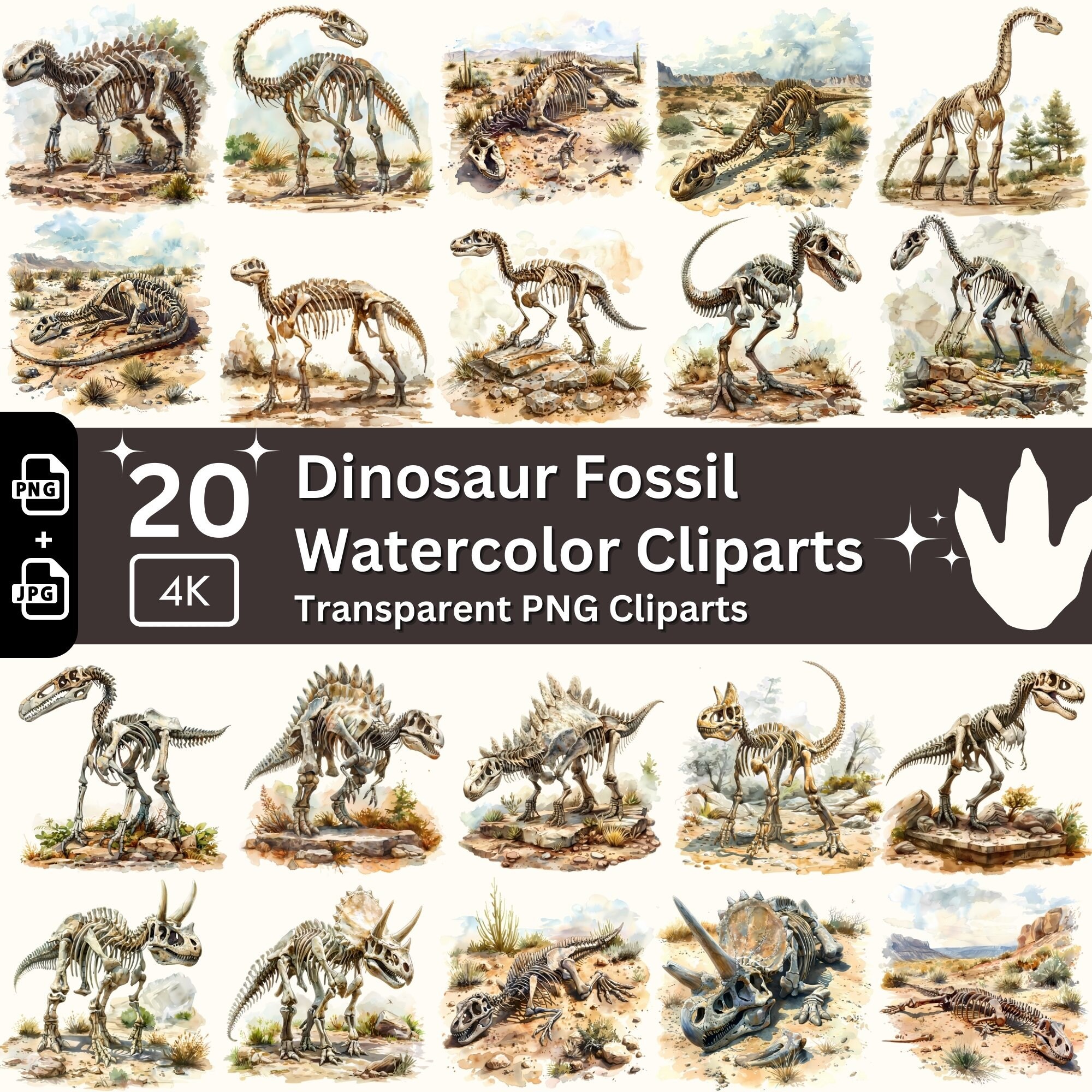 Watercolor Dinosaur Fossil Clipart: Jurassic PNG Bundle (digital ...