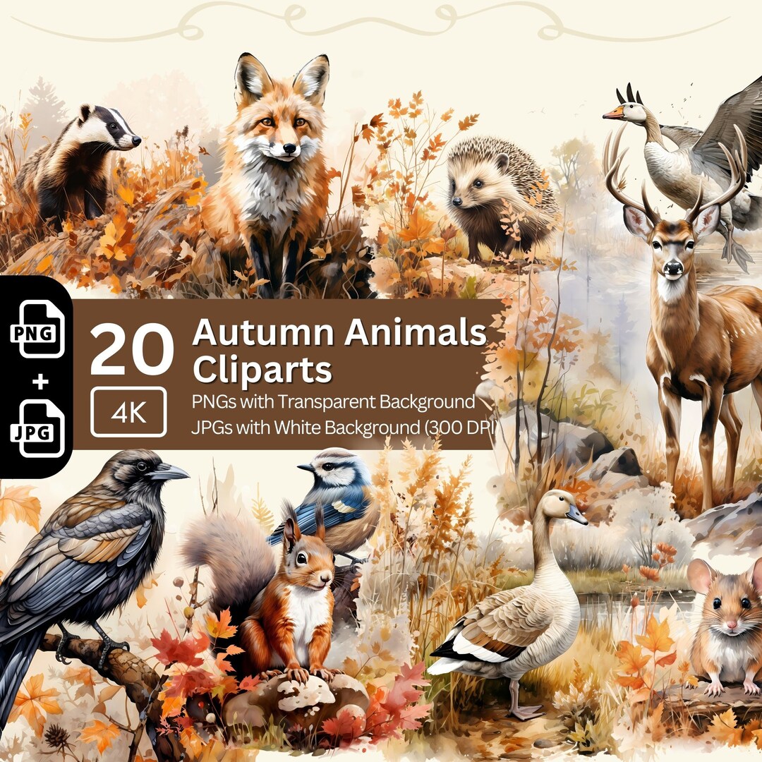 Autumn Animal Clipart 20 PNG Bundle Fall Images Seasonal Clipart Card ...