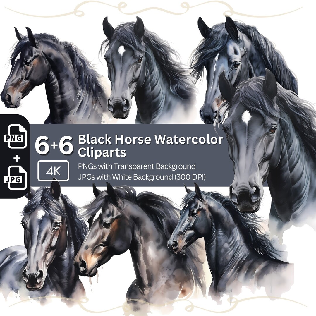 Black Horse Watercolor Clipart: PNG Bundle for Art & Craft (digital ...