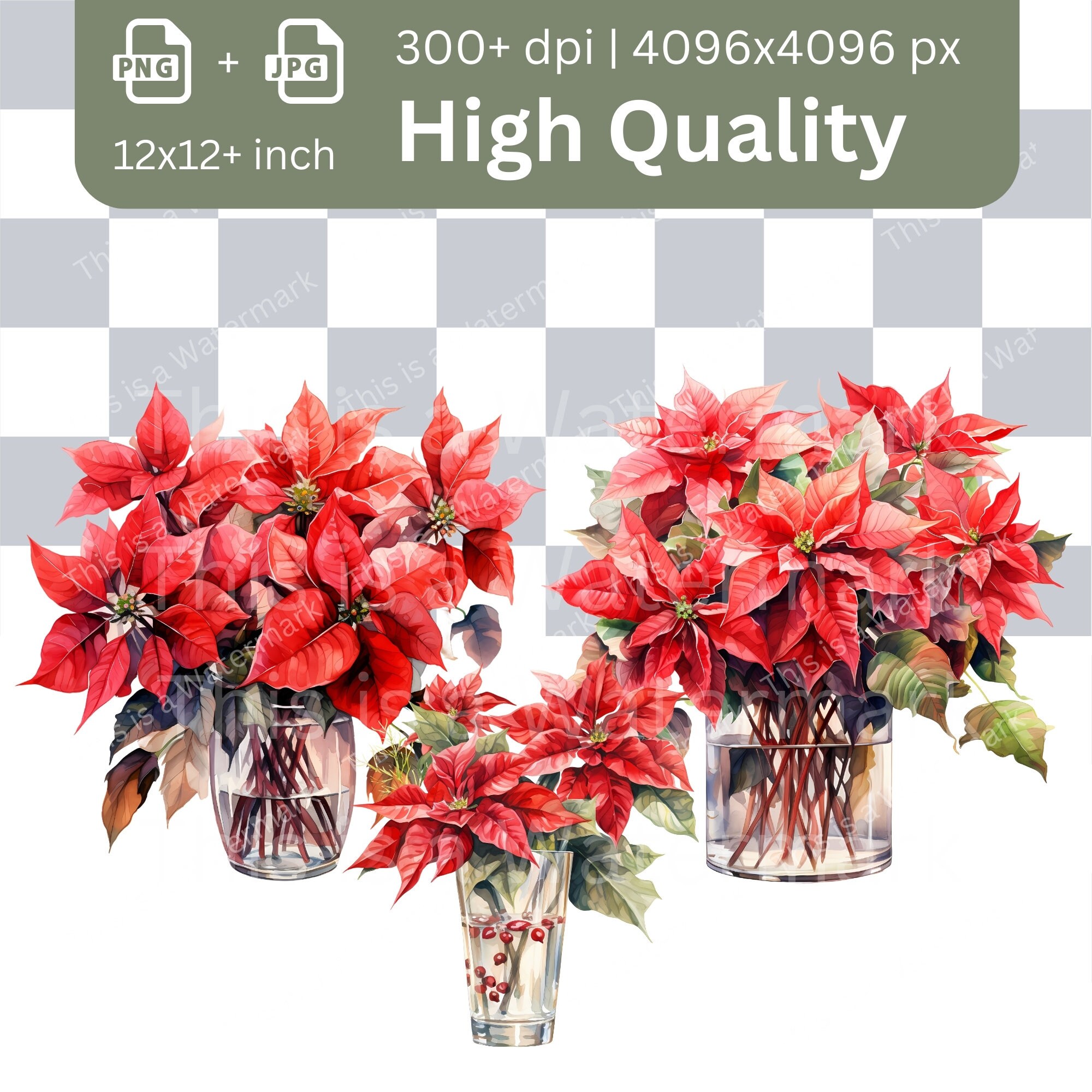 Poinsettia in Vase 77 PNG Clip Art Bundle Christmas - Etsy