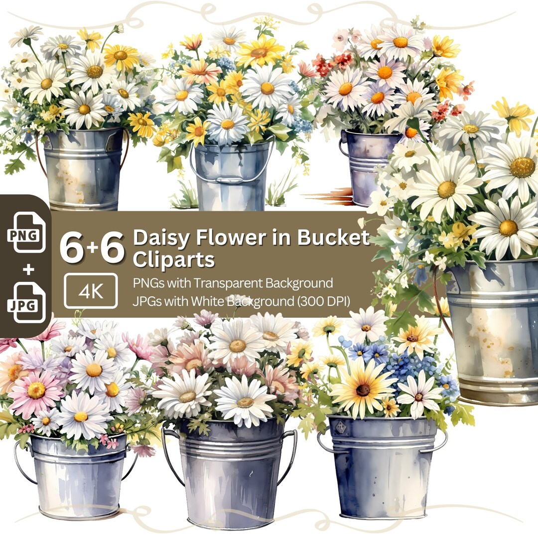 Daisy in Bucket Clipart PNG Bundle Flower Digital Paper Crafting ...