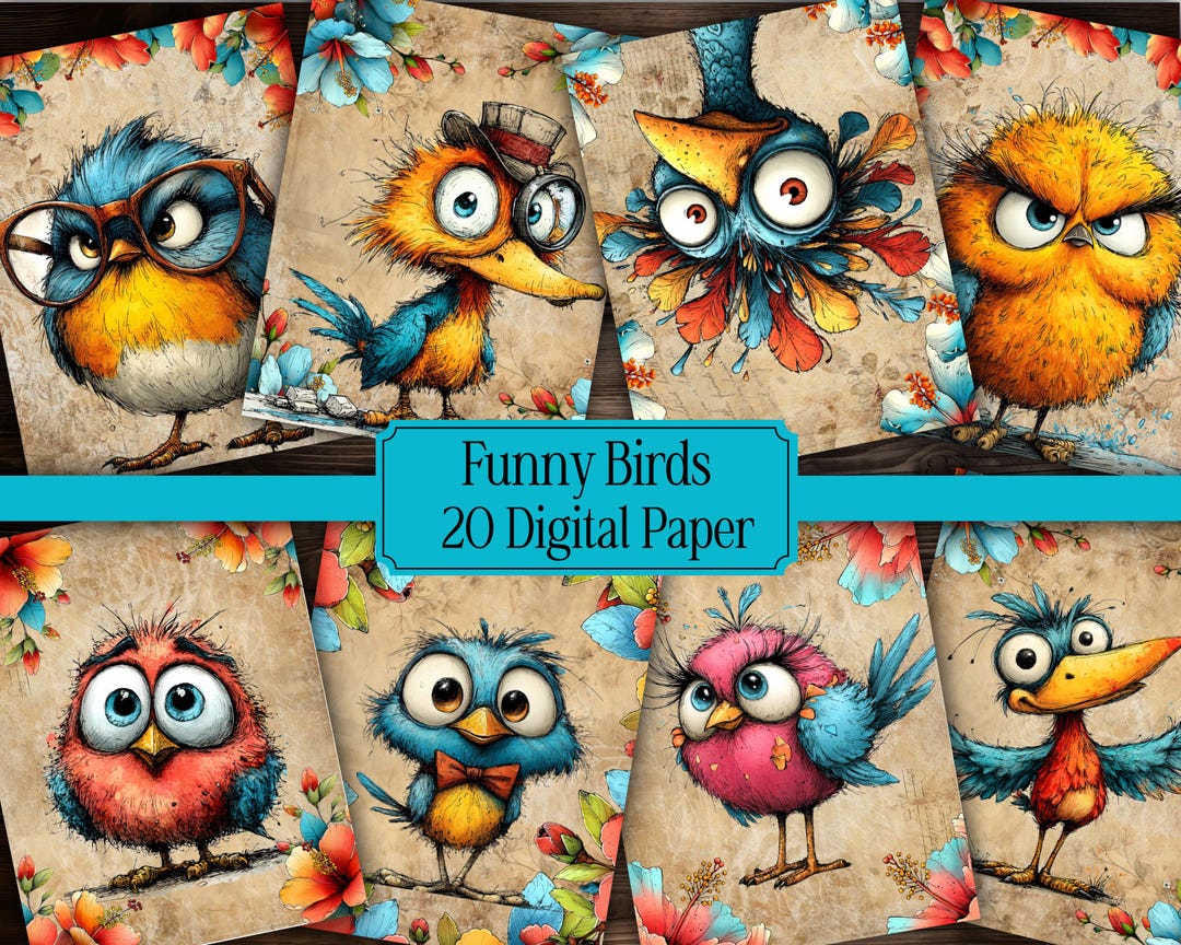 Funny Birds Digital Paper Pack | Printable Scrapbook Paper | Bird ...