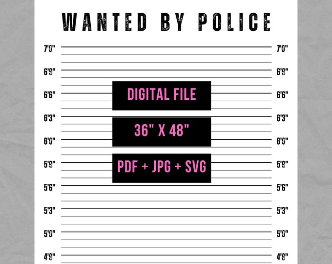 Mugshot Jail Signs, Party Props for Birthday, Retirement, Bachlorette Parties, Photo Booth ...