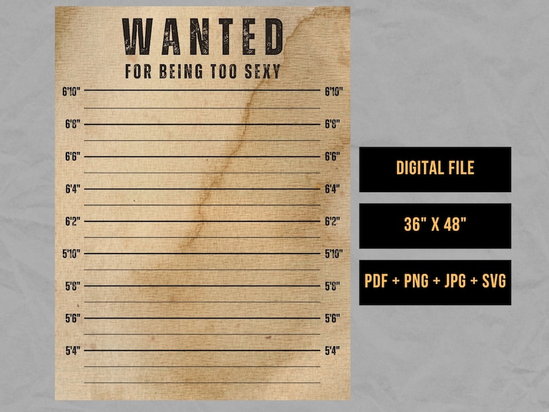 Mugshot Backdrop, Mugshot Background, Mug Shot Police Lineup, Jail ...