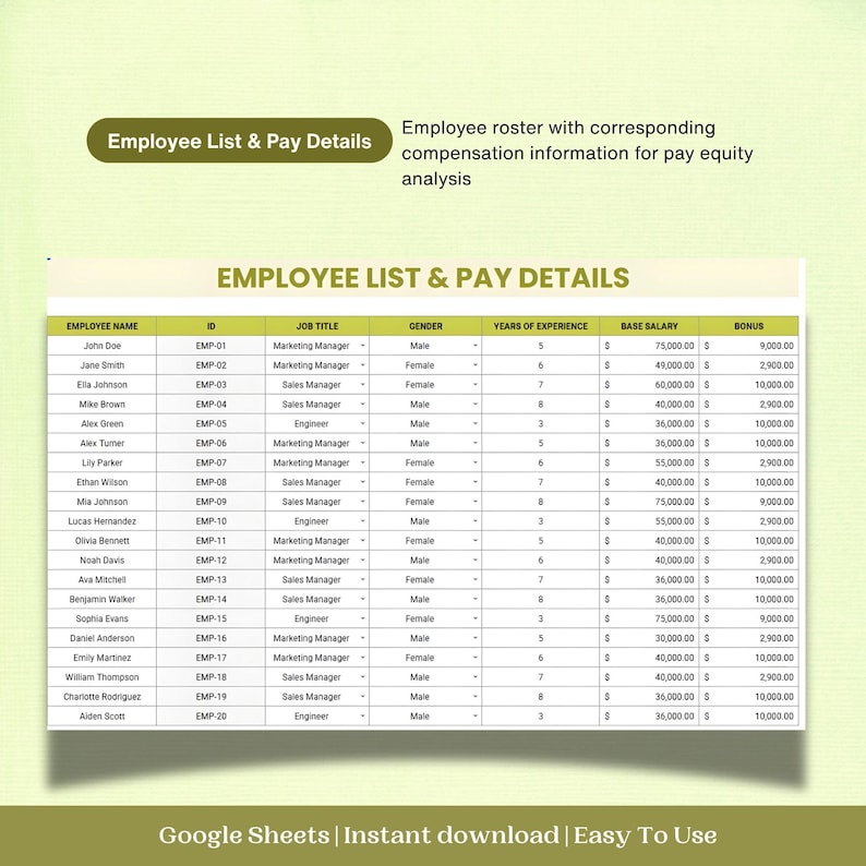 Pay Equity Analysis Excel Template: HR Salary Tracker (google Sheet) - Etsy