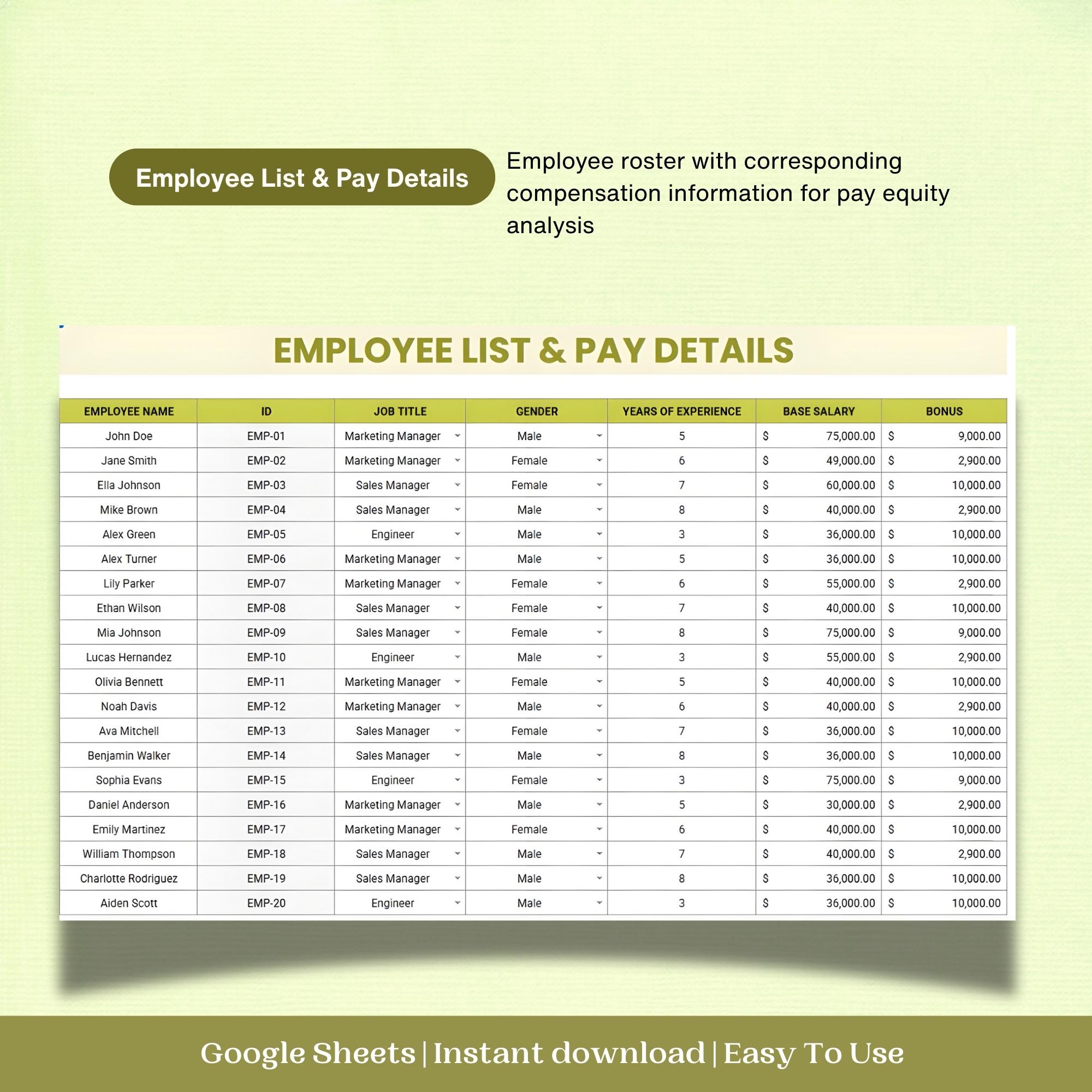 Pay Equity Analysis Excel Template: HR Salary Tracker (google Sheet) - Etsy