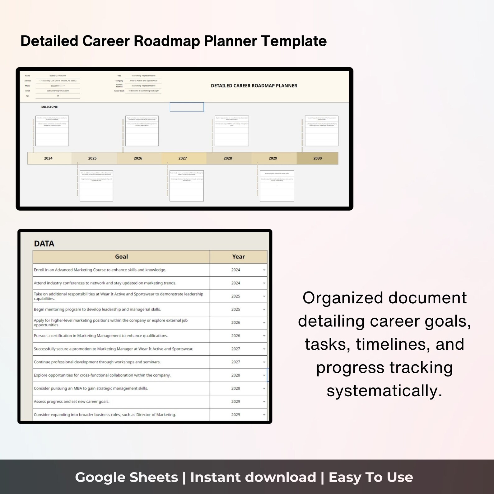 Career Dashboard Spreadsheet Template: Goal Tracker, Roadmap (digital ...