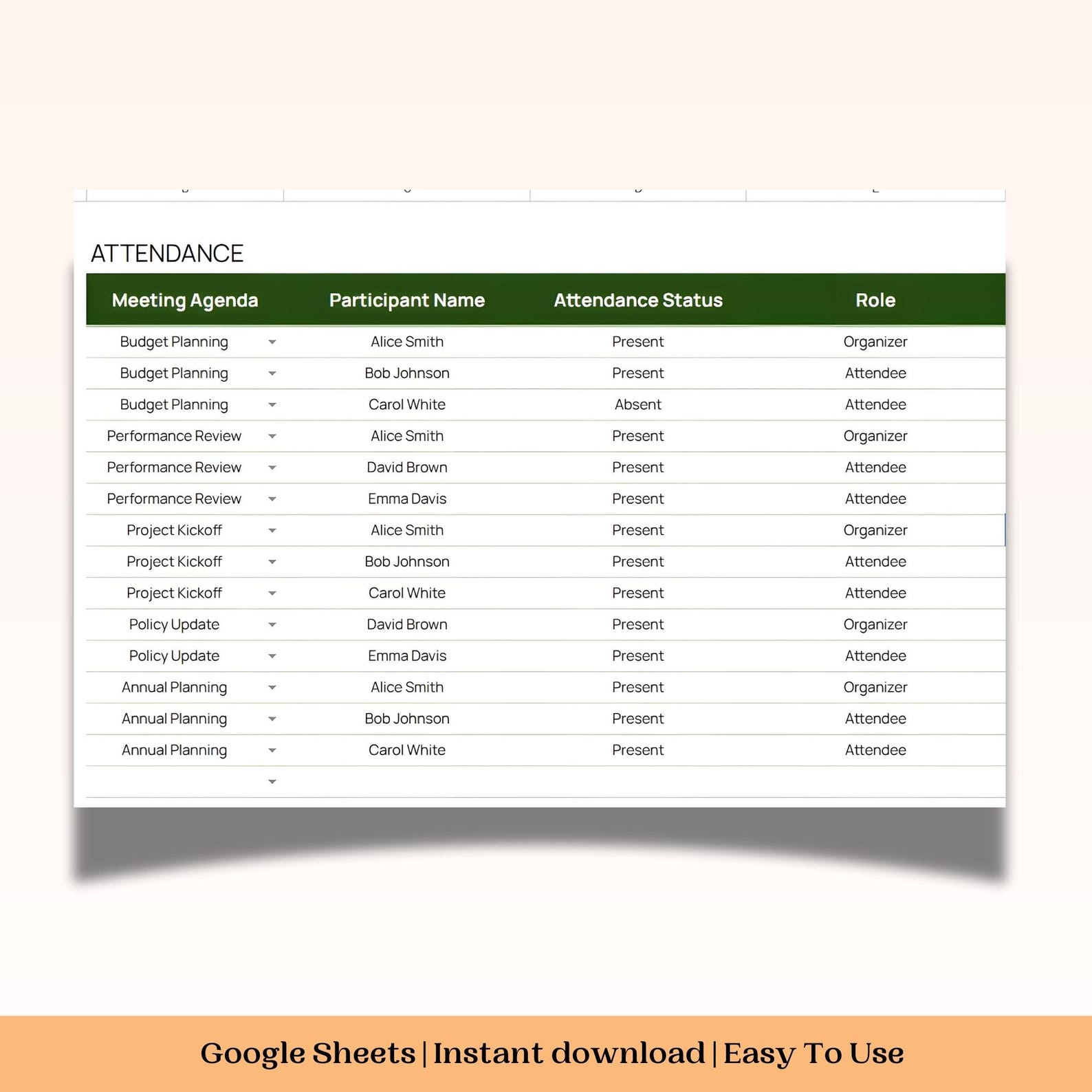 Meeting Outcome Dashboard Template: Excel & Google Sheets (digital ...