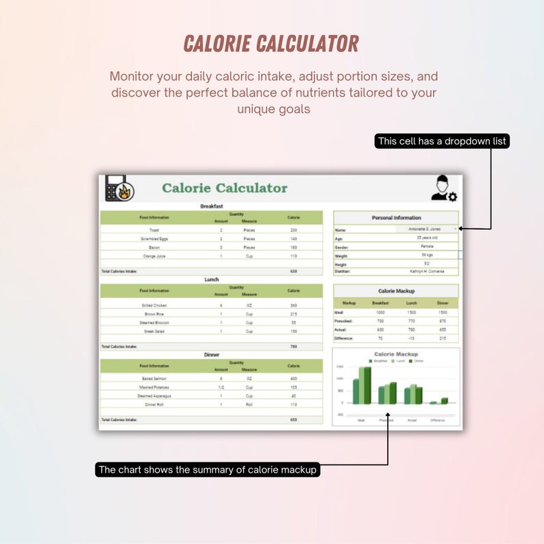 Meal Plan Spreadsheet for Clients, Easy to Customize Meal Plan Template ...