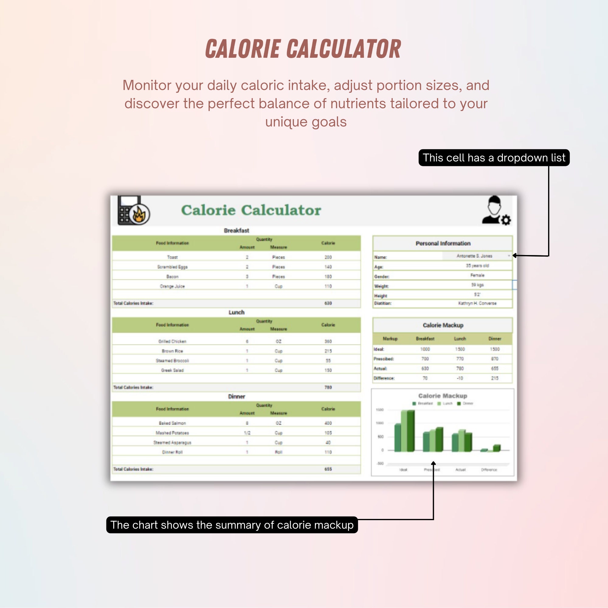Meal Plan Spreadsheet for Clients, Easy to Customize Meal Plan Template ...