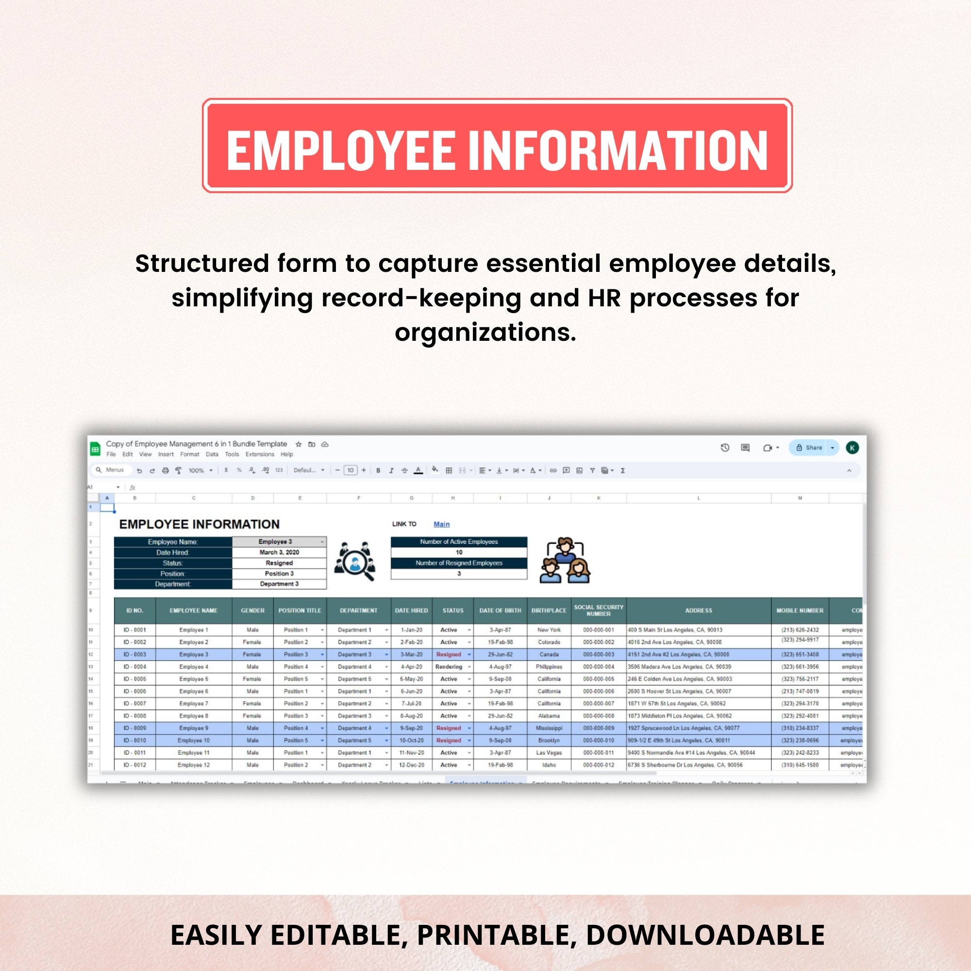 Employee Management Template: HR Planner, Schedule, Training (digital ...