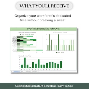 Professional Overtime Dashboard Template for Managing Each Employee ...