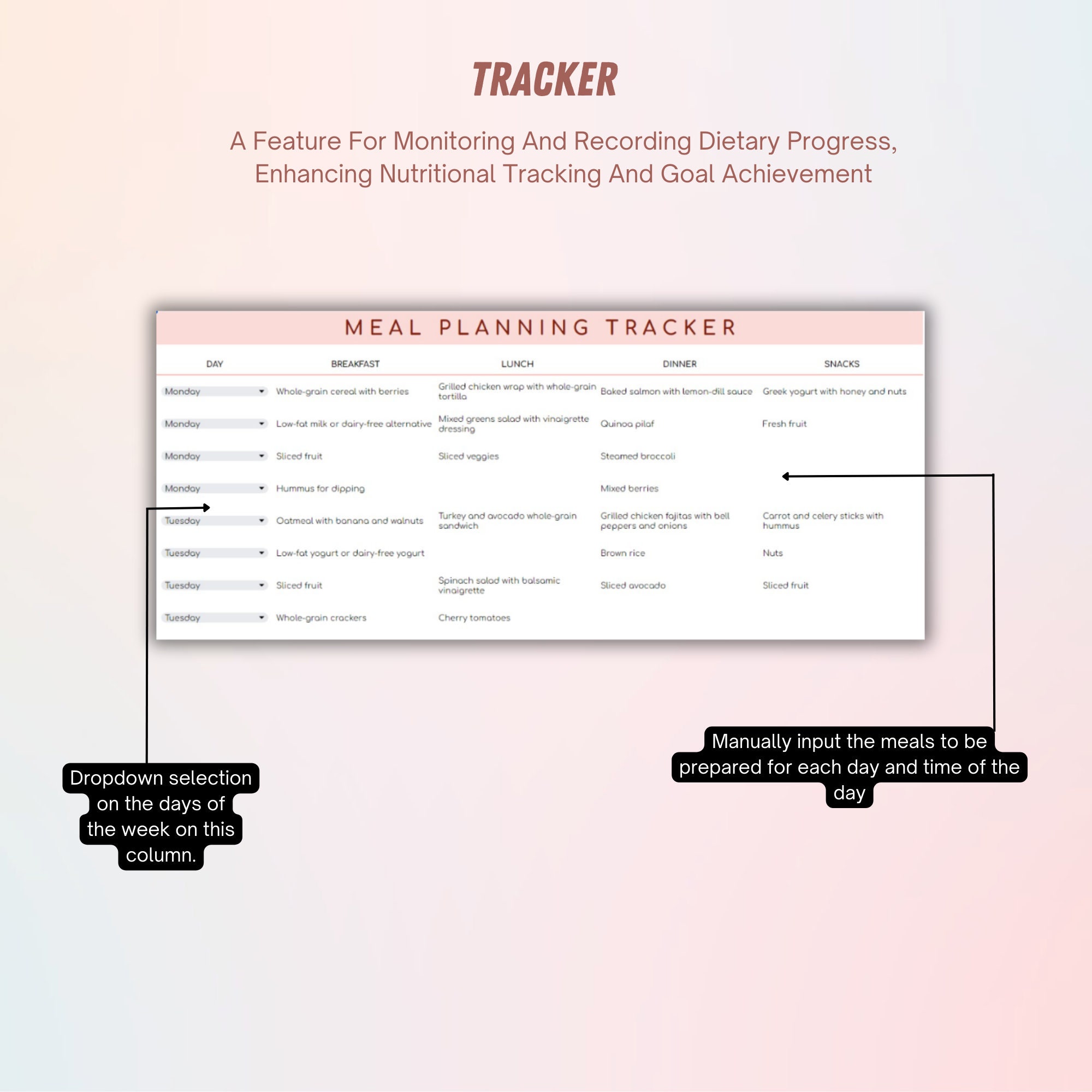 Meal Plan Spreadsheet for Clients, Easy to Customize Meal Plan Template ...