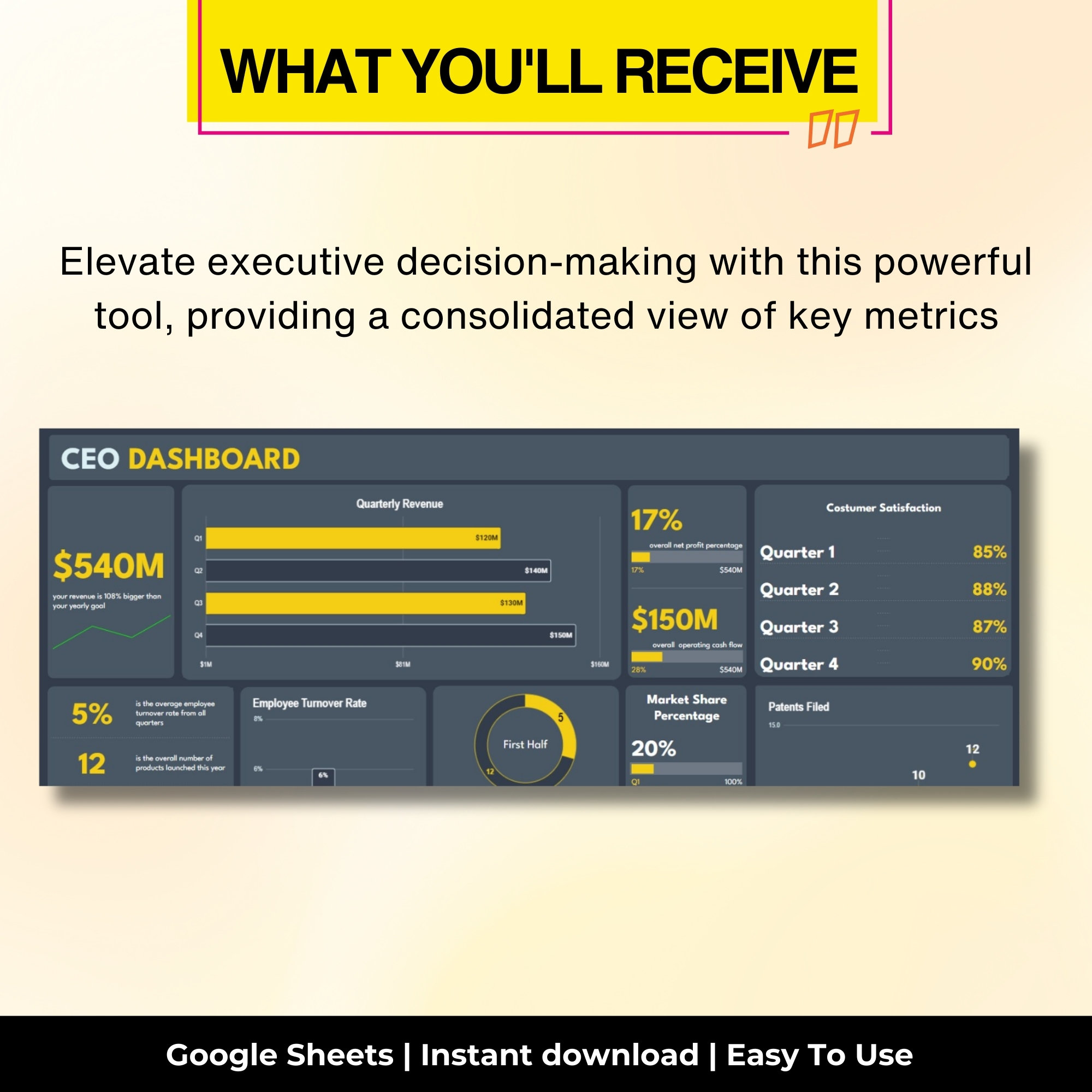 CEO Dashboard Template: Financial Metrics, Business Strategy (excel ...