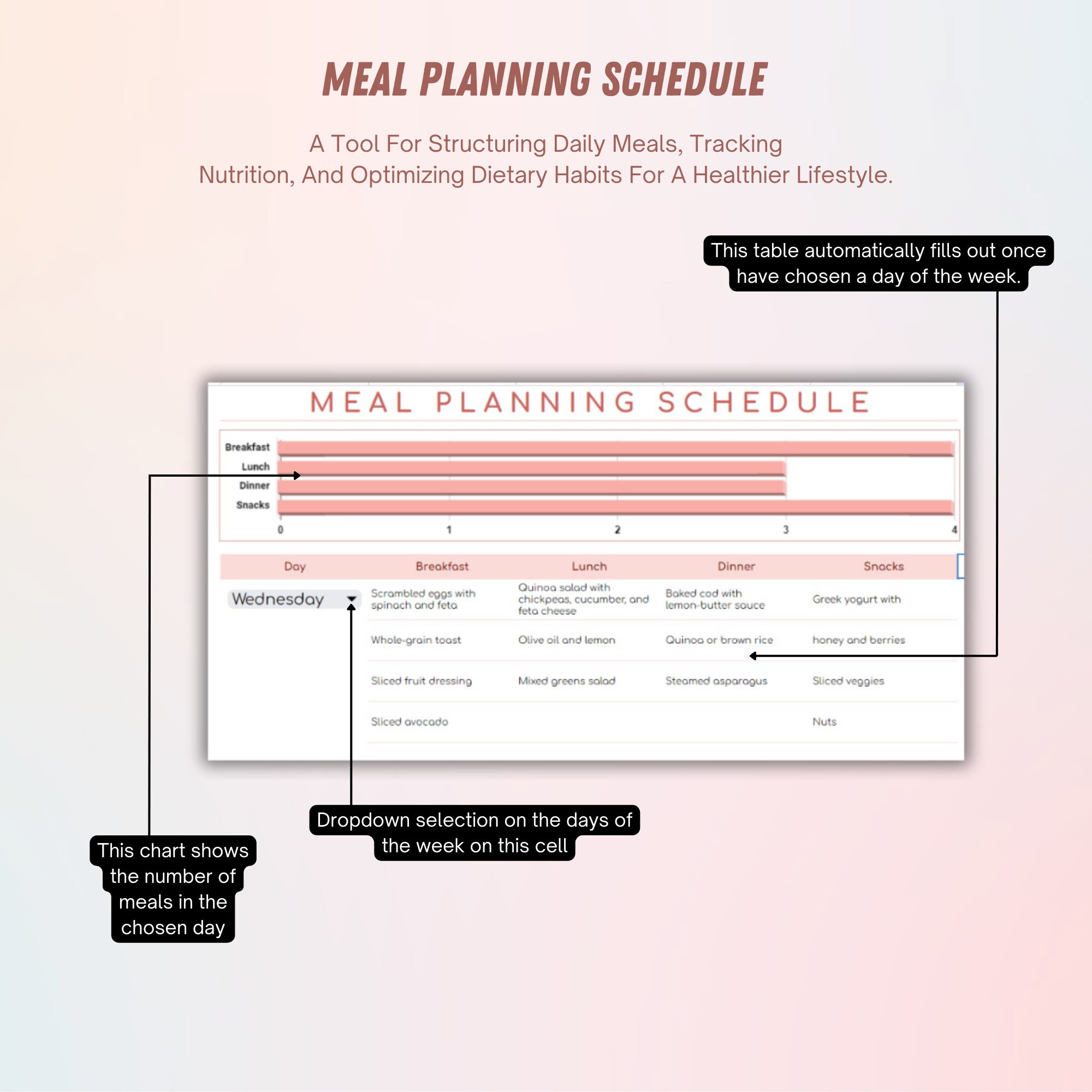 Meal Plan Spreadsheet for Clients, Easy to Customize Meal Plan Template ...