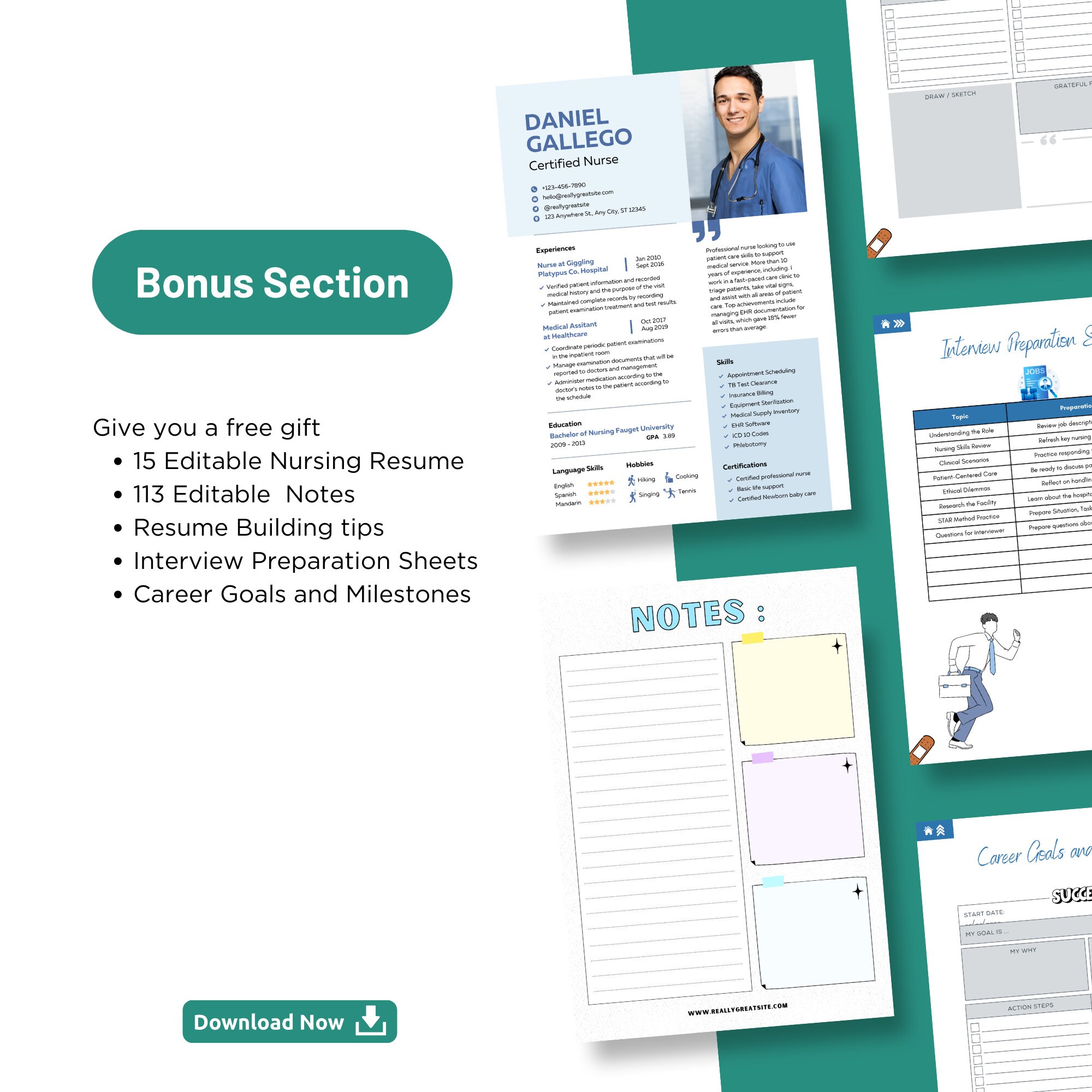 The Ultimate Nursing Student Digital Planner, Nursing Student Journal ...