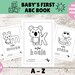 ABC Book - Baby's First ABC Book - Printable PDF Digital Download ...