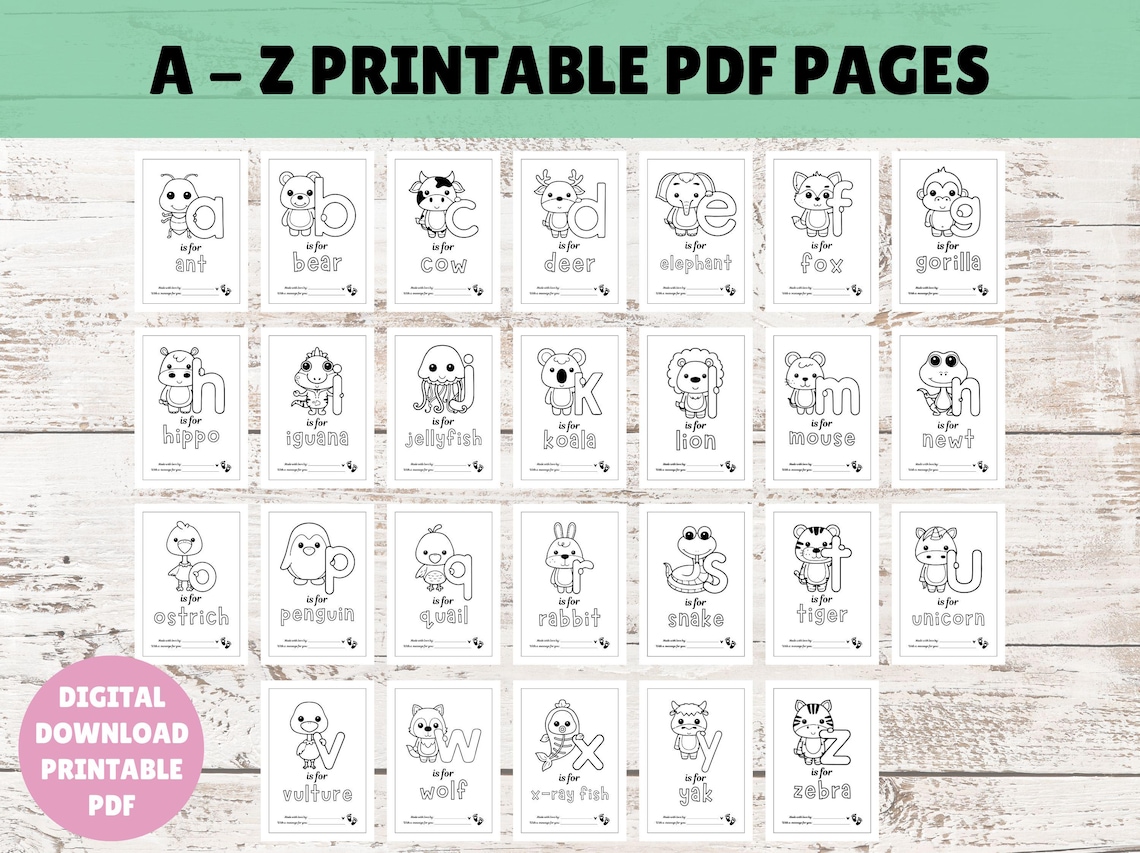 ABC Book - Baby's First ABC Book - Printable PDF Digital Download ...