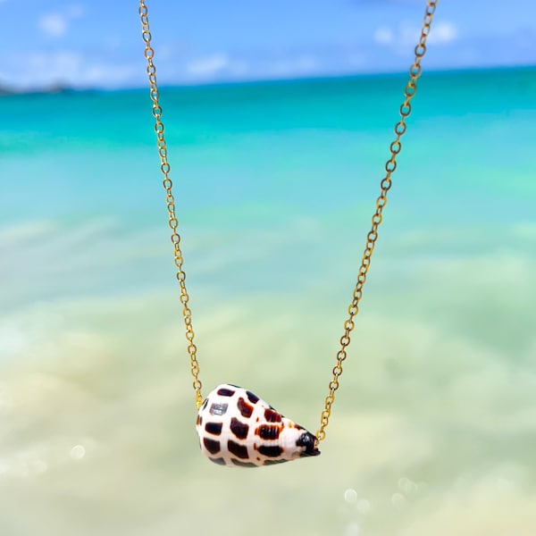 Cone Shell Jewelry - Etsy