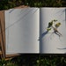 Large A3 Professional Plant Press Kit 12" X 18" for Field Botanists - Etsy