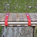 Large A3 Professional Plant Press Kit 12" X 18" for Field Botanists - Etsy