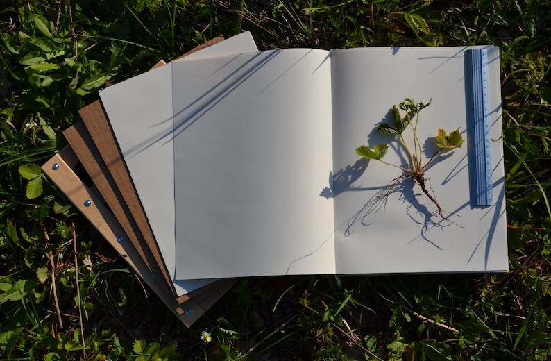 Flower Press Kit, Leaf/flower/plant Pressing. Medium A4, 9" X 12" (22.5 ...