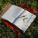 Large A3 Professional Plant Press Kit 12" X 18" for Field Botanists - Etsy