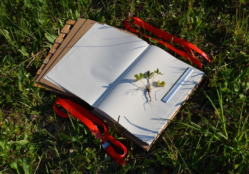 Large A3 Professional Plant Press Kit 12" X 18" for Field Botanists - Etsy
