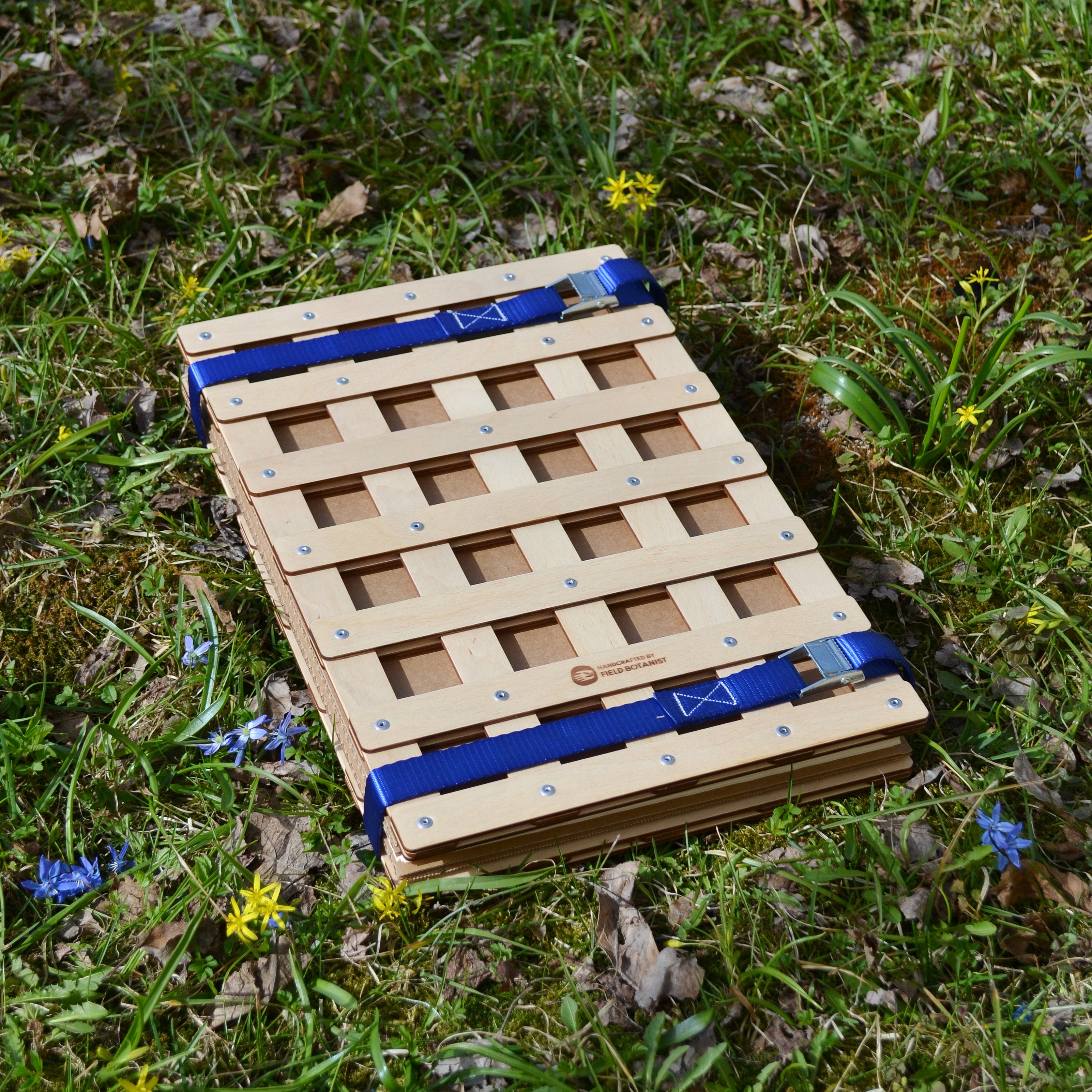 Large A3 Professional Plant Press Kit 12 X 18 for Field Botanists ...