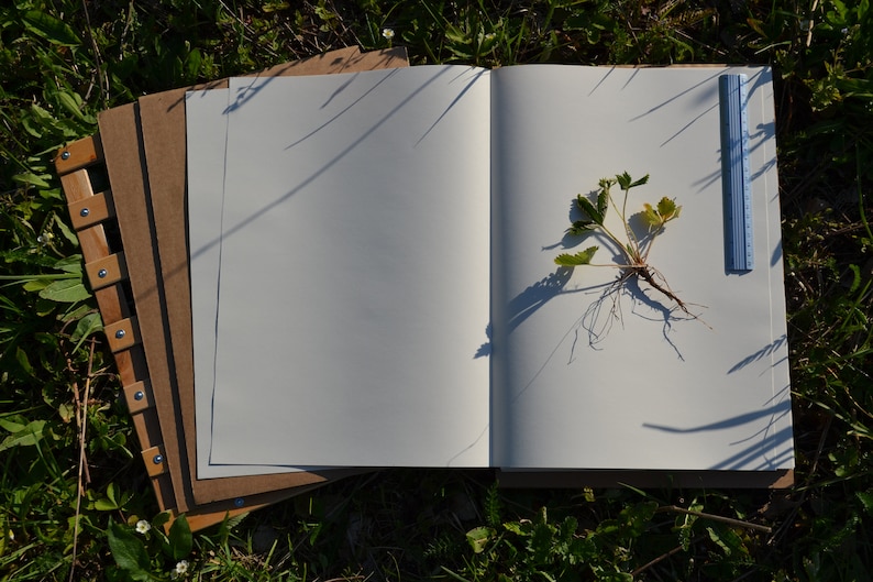 Large A3 Professional Plant Press Kit 12 X 18 for Field Botanists - Etsy