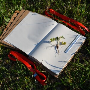 Large A3 Professional Plant Press Kit 12 X 18 for Field Botanists - Etsy