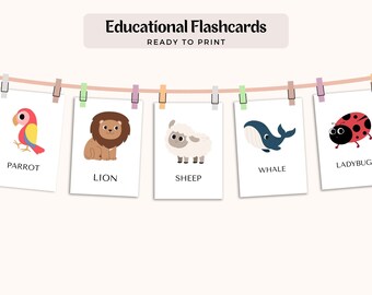 Animals Flash Cards Montessori Cards Preschool Education Flash - Etsy