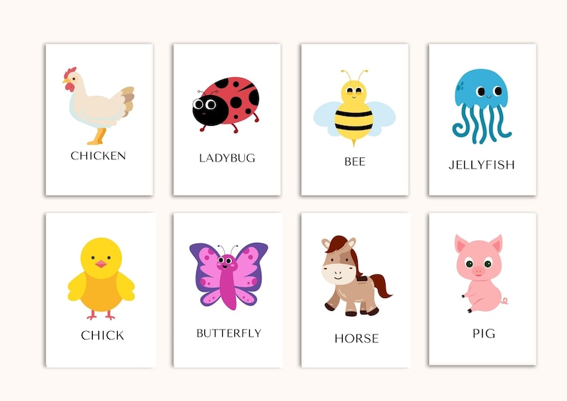 48 Educational Printable Animals Flash Cards Montessori 48 - Etsy