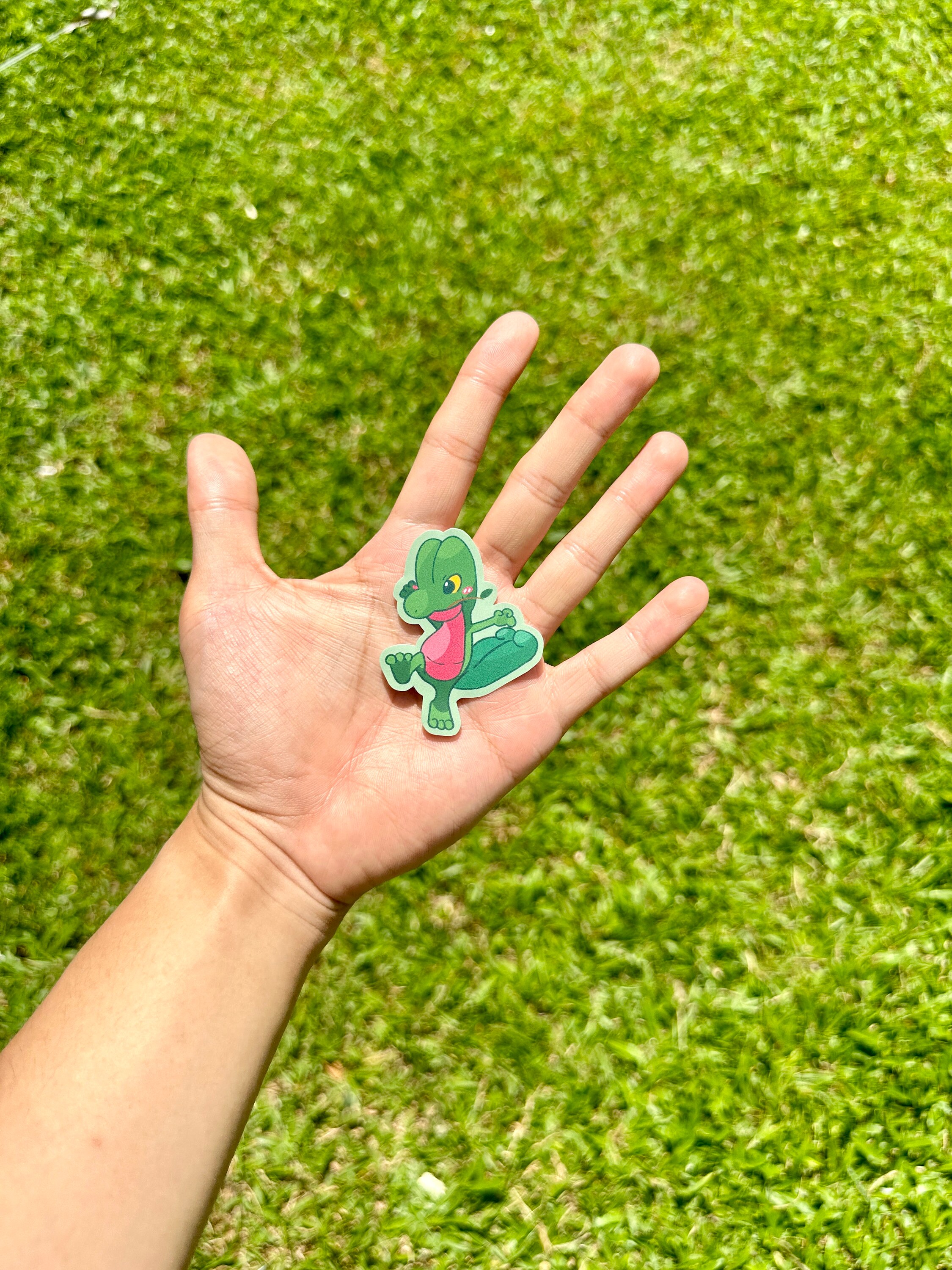 Gen 3 Starters Pokemon Stickers / Mudkip Sticker / Torchic Sticker ...