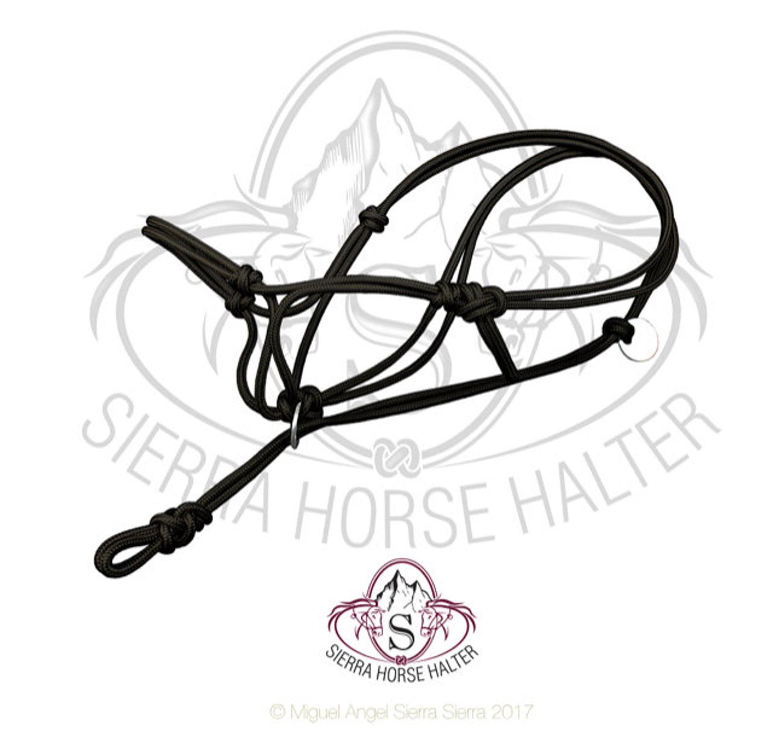 The Best Training Halter for Horses-the Sierra Horse Halter Black Best ...