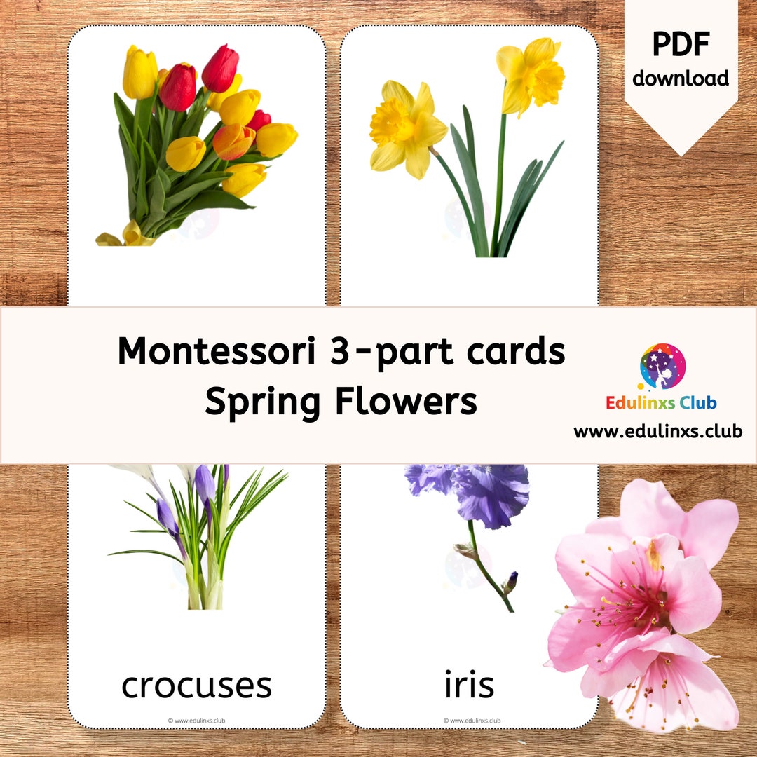 Spring Flowers 3-part Cards, Montessori Class Resource, Preschool Hands ...