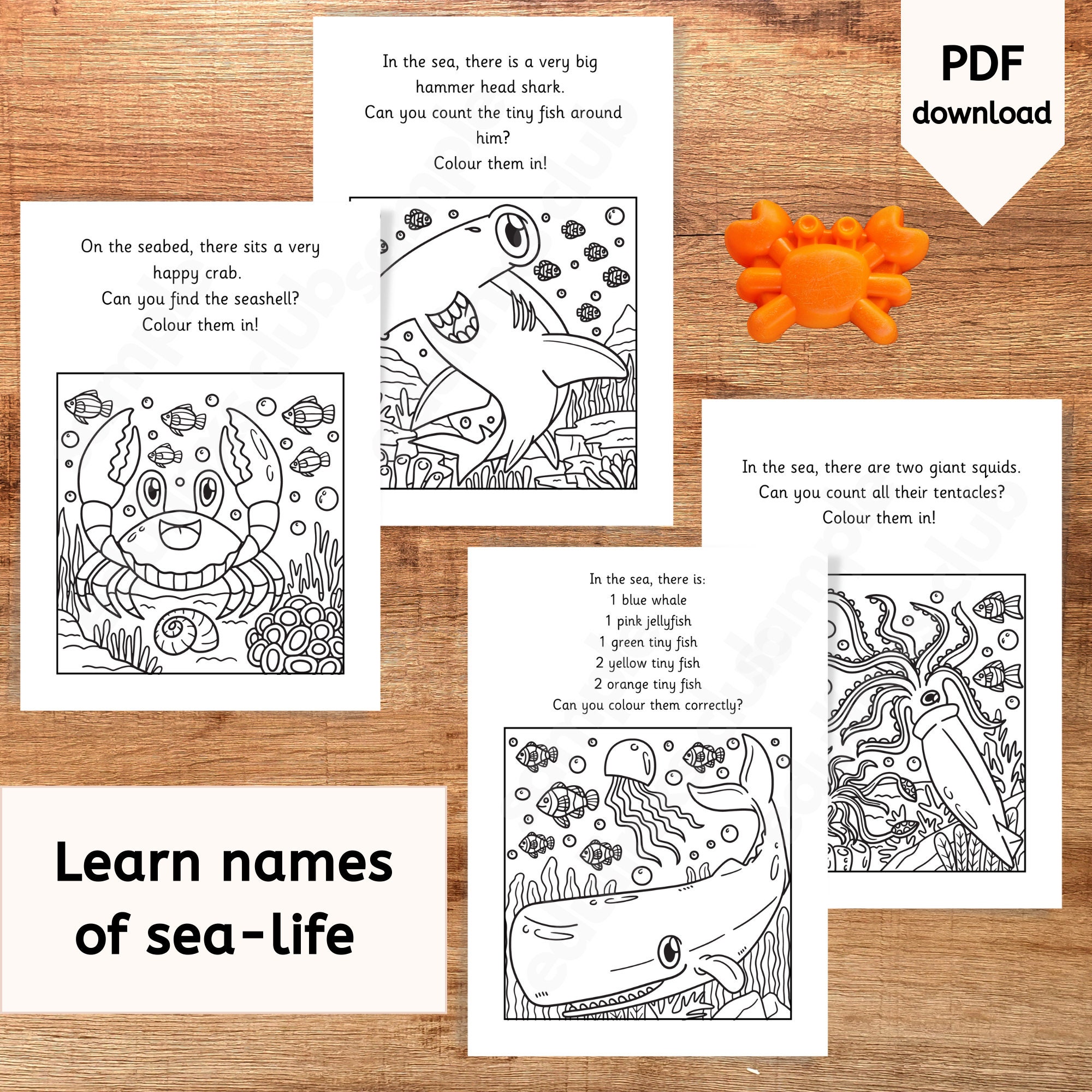 Sea-life Colouring Book for Kids, Dot-to-dot Activities, PDF Digital - Etsy