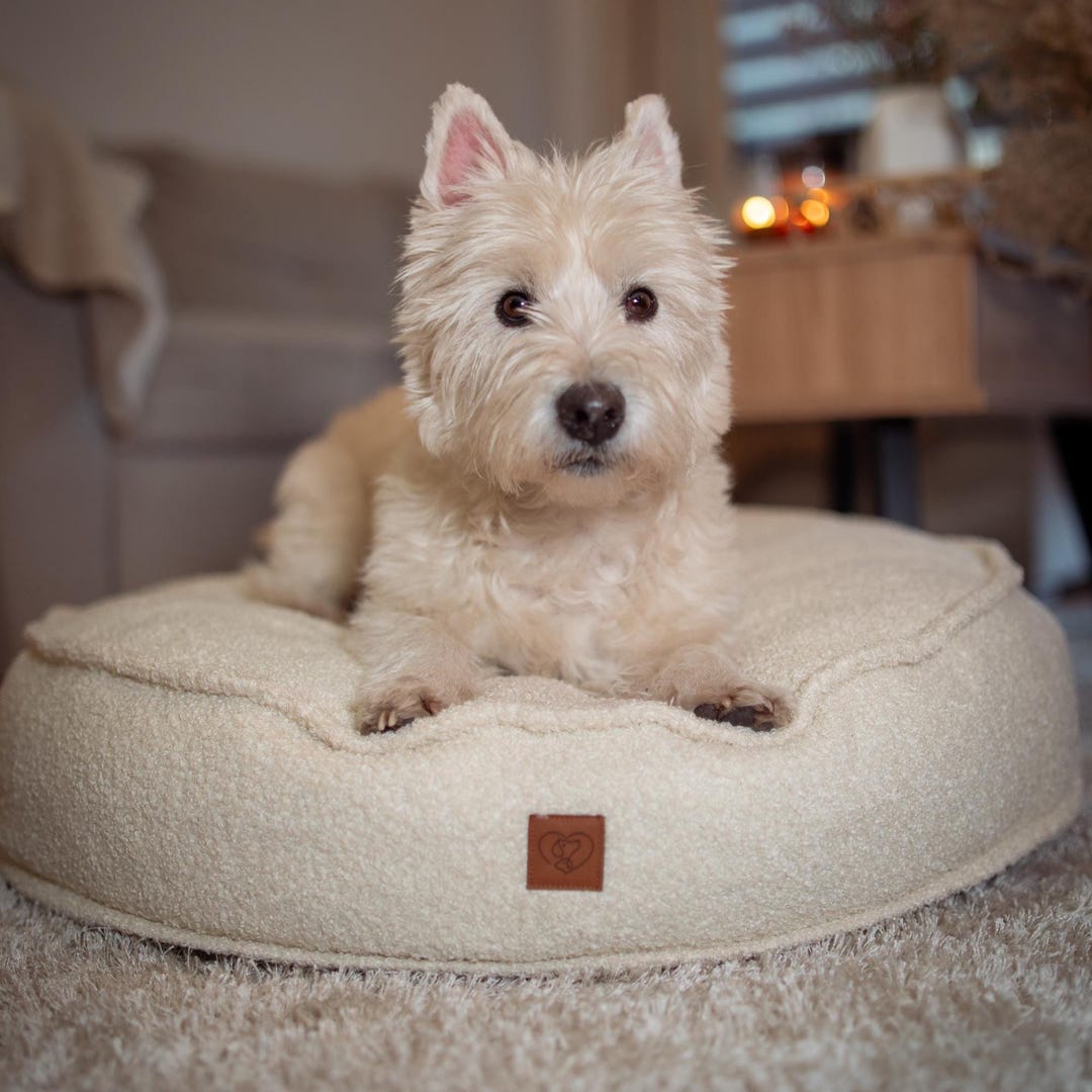 Boucle Dog Bed Pouf With Removable Cover - Etsy