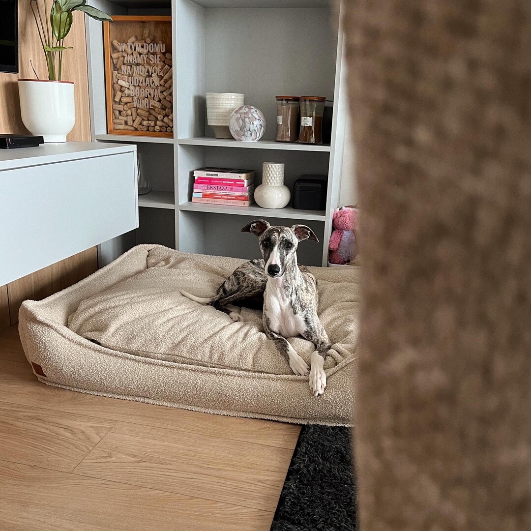 Boucle Dog Bed With Memory Foam Dogs Premium Bed Dog Comfy - Etsy