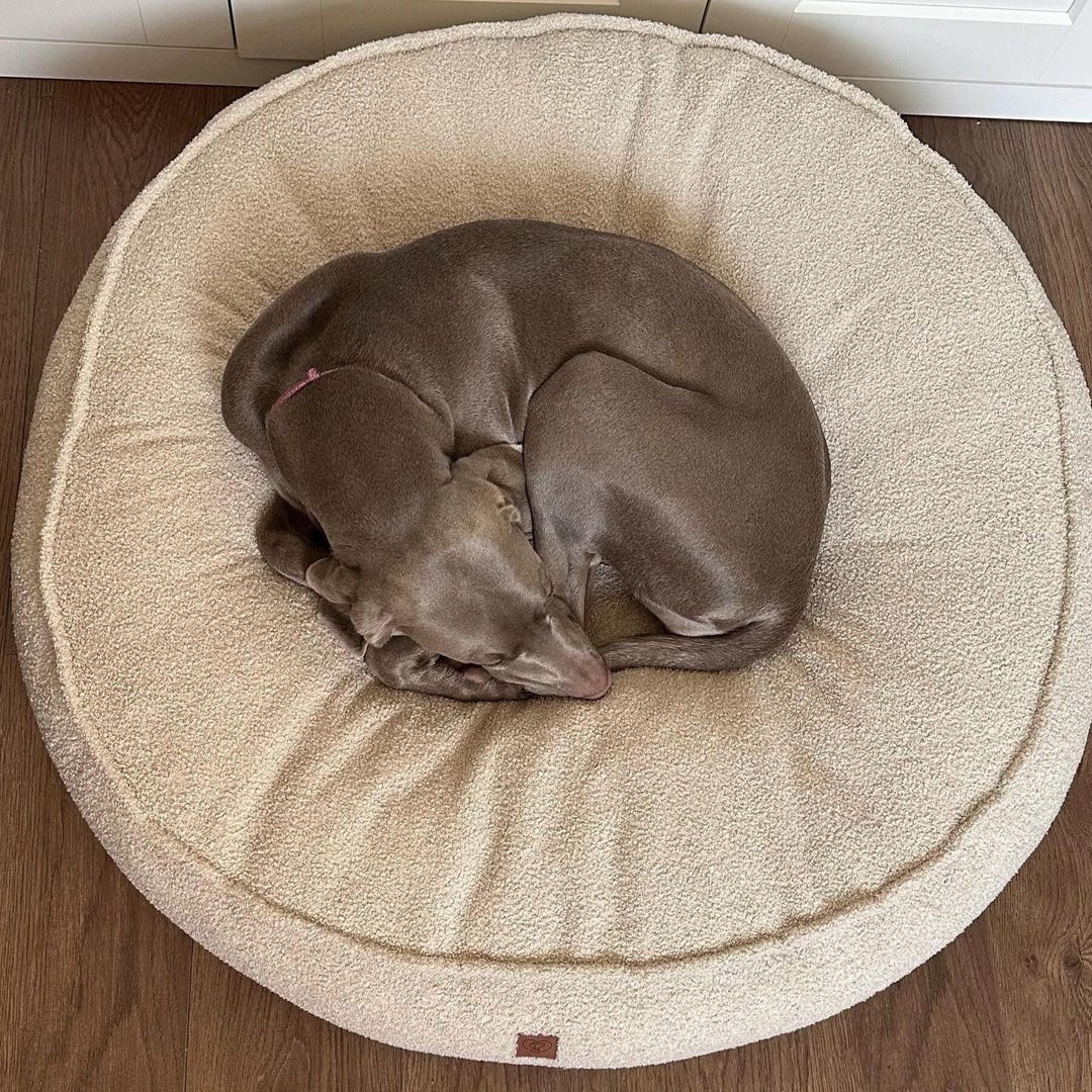 Bouclé Dog Bed Pouffe, Comfy Bed With Removable Cover - Etsy