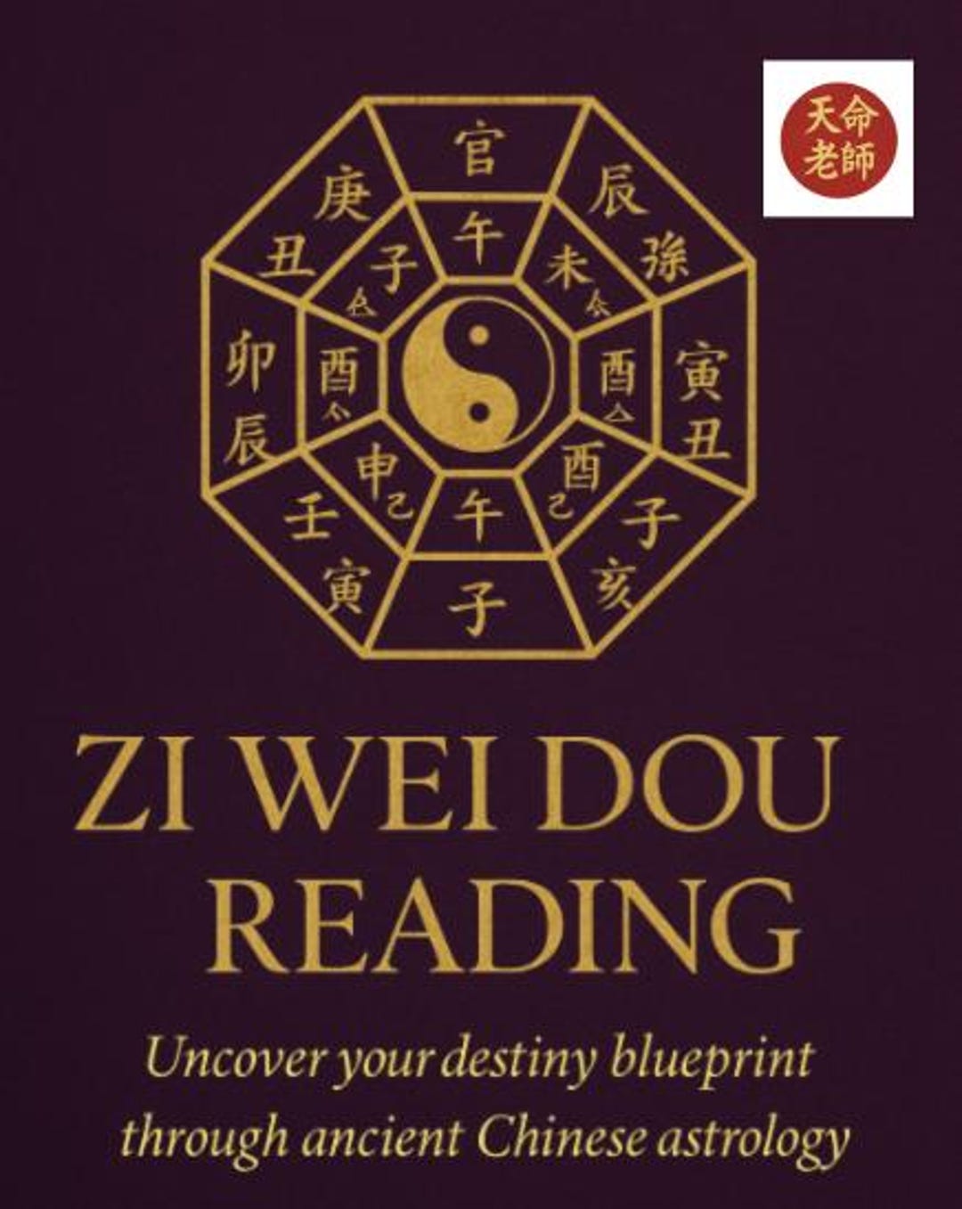 Zi Wei Dou Shu Destiny Reading: Chinese Emperor Astrology Report (PDF ...