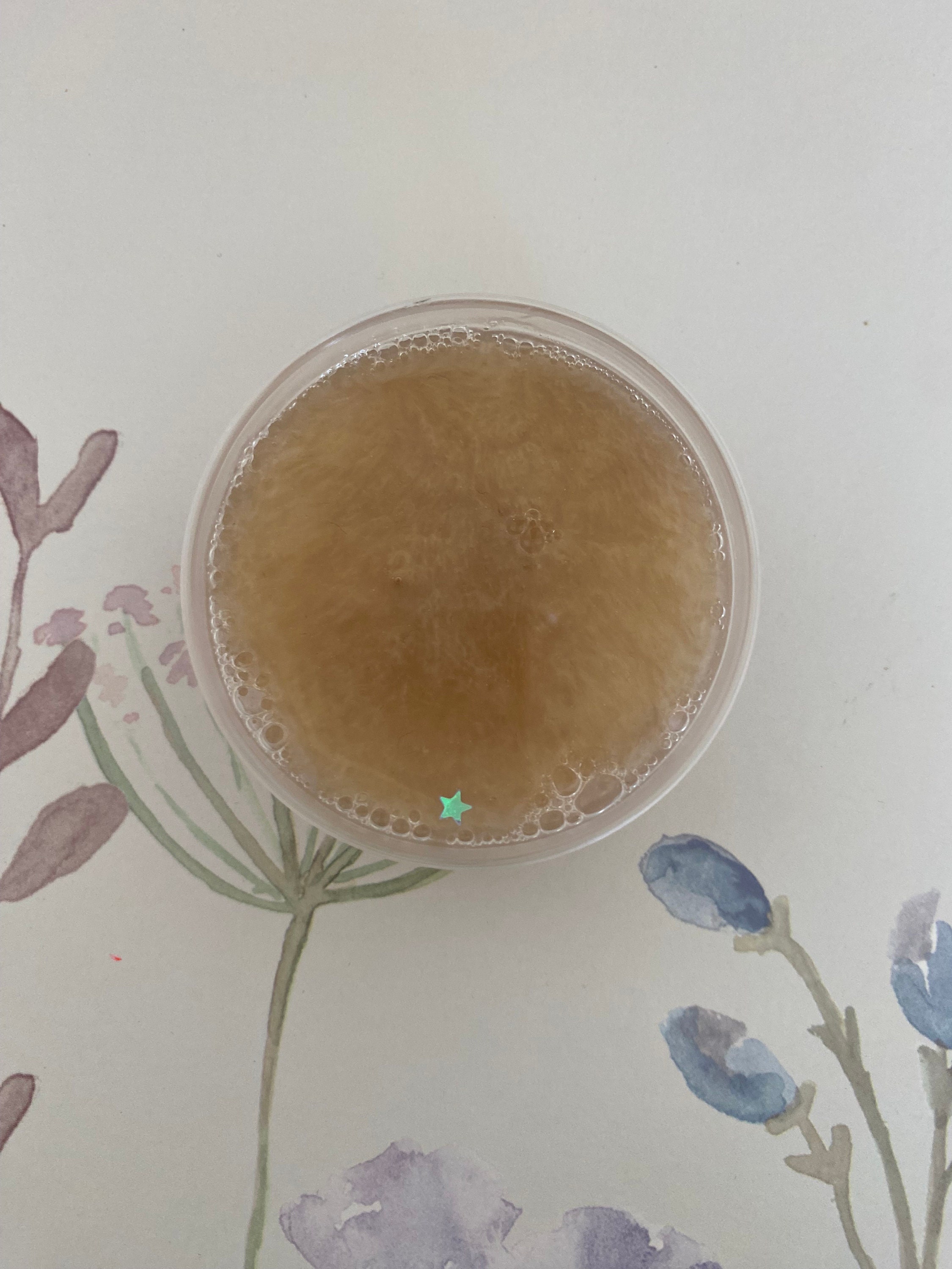 Shimmer and Shine Slime - Etsy