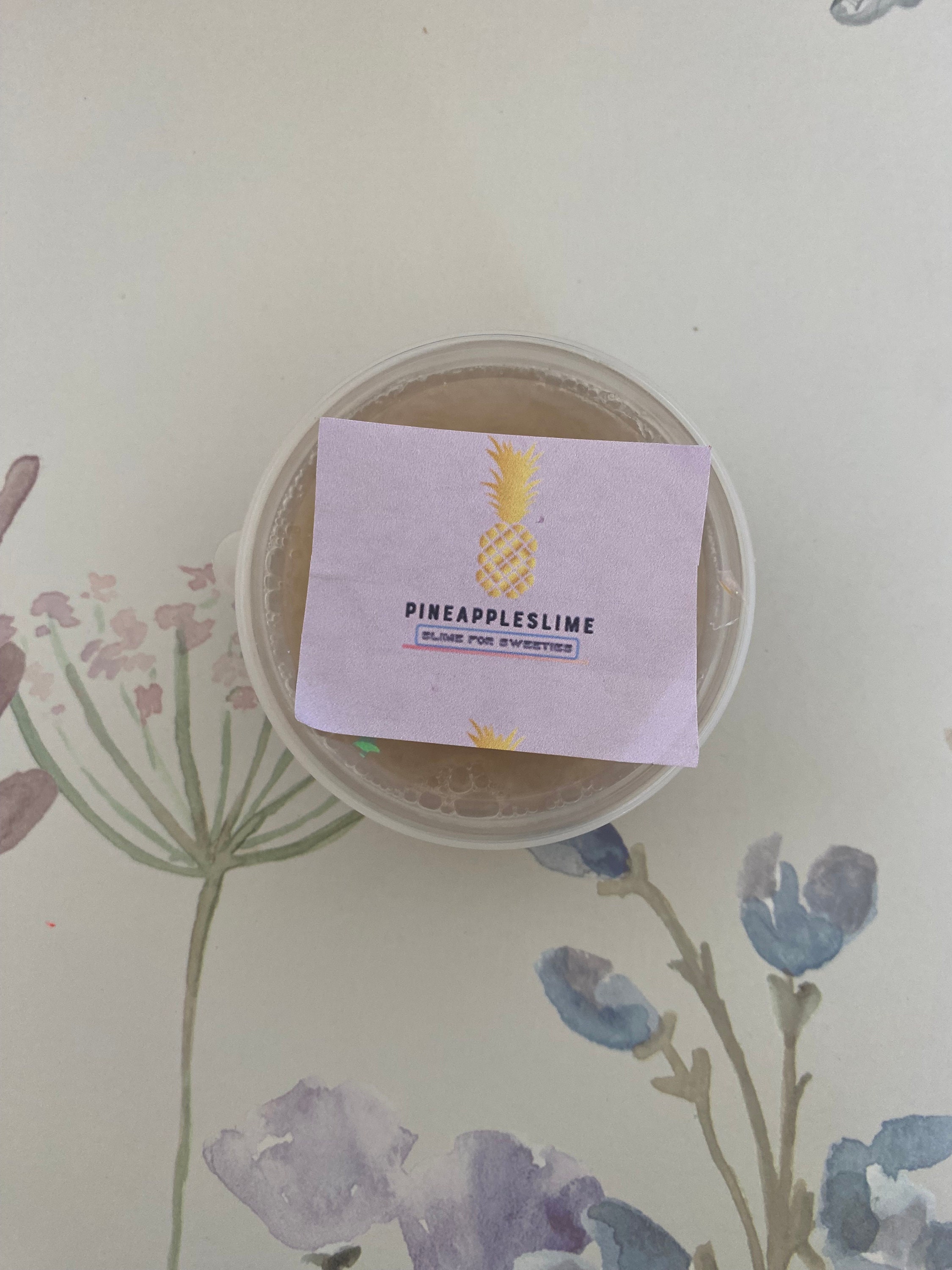 Shimmer and Shine Slime - Etsy