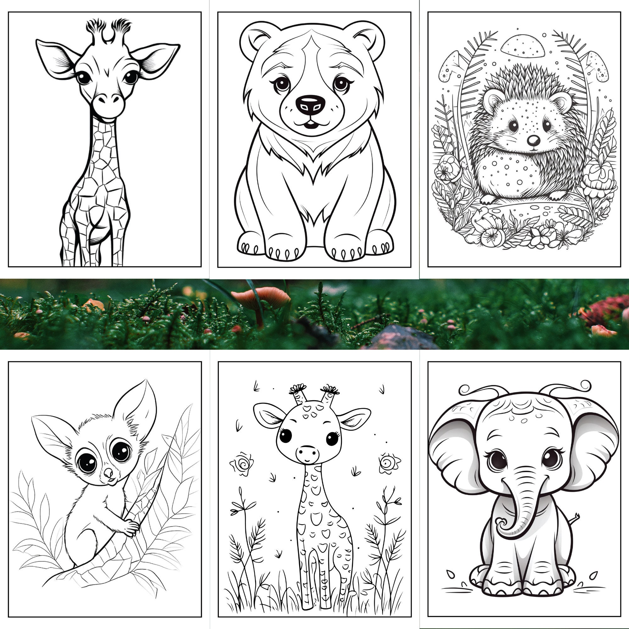 100 Wild Animal Pages Printable Coloring Book Kids - Etsy