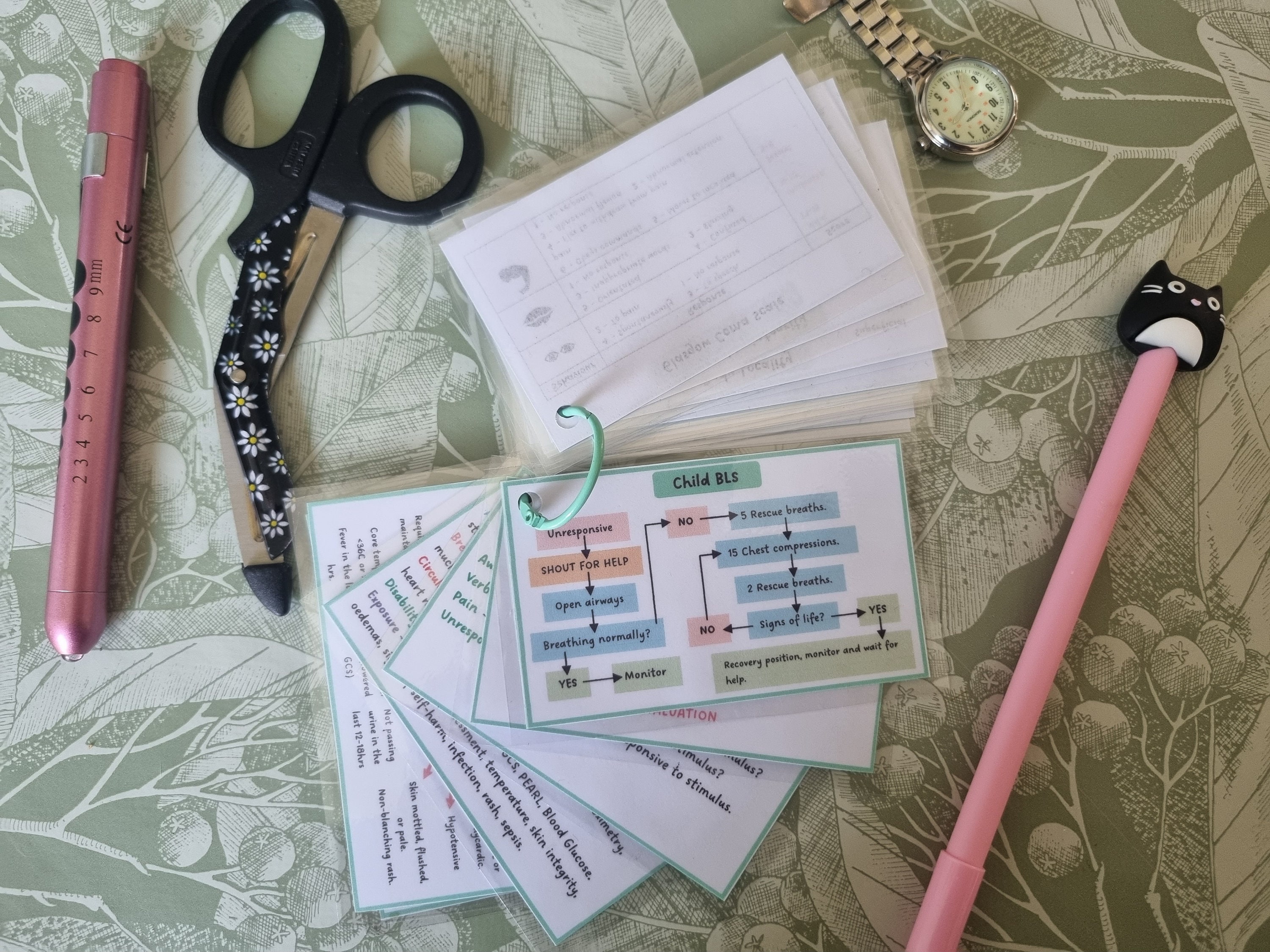 DIGITAL the Basics Child Nursing Flashcards 2025 - Paediatric ...