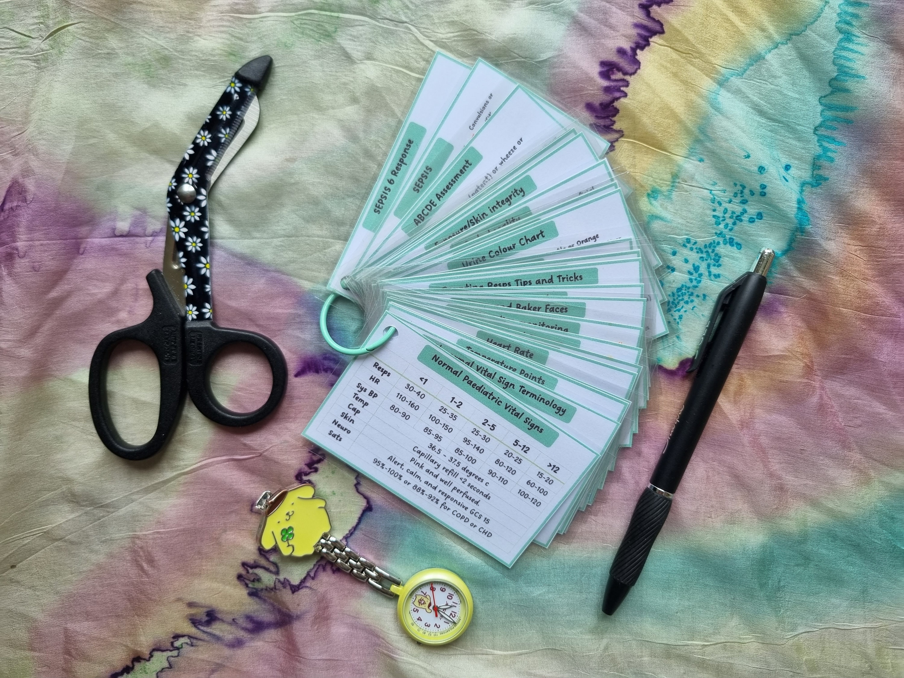 DIGITAL the Basics Child Nursing Flashcards 2025 - Paediatric ...